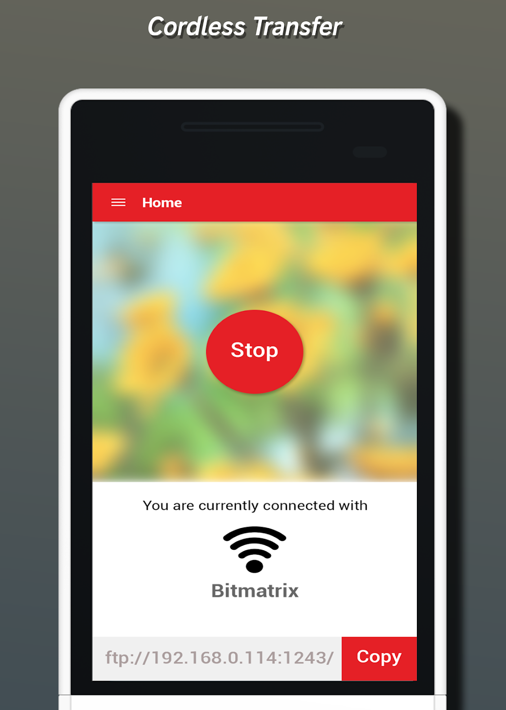 App Detail | App Bitrix